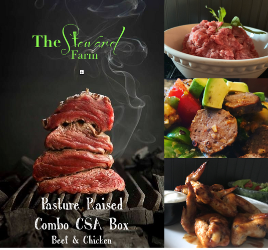 The Steward Sustainable Farm – The Steward Farm